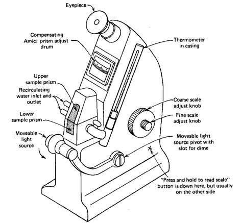 Light Microscope Drawing At GetDrawings Free Download
