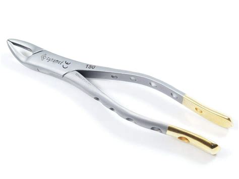 Premium German Gold Dental Extracting Extraction Forceps 150 Upper Bicuspid Upper Cuspid