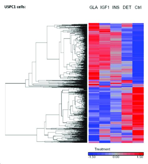 Hierarchical Clustering Map Of Differential Gene Expression In Uspc 1