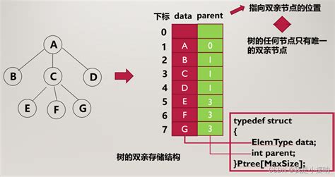 7 树 数据结构入门c语言实现在c语言树里面祖先包括双亲吗 Csdn博客