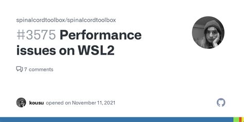 Performance Issues On Wsl2 · Issue 3575 · Spinalcordtoolbox