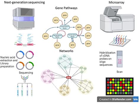 next‐generation sequencing and microarray as advanced tools for cancer