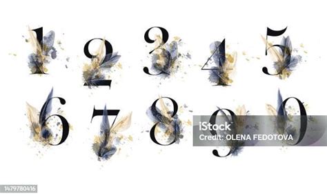 숫자 깃털로 숫자를 설정하십시오 청첩장 인사말 카드 생일 로고 포스터 기타 아이디어 벡터 그림입니다 0명에 대한 스톡 벡터 아트 및 기타 이미지 Istock