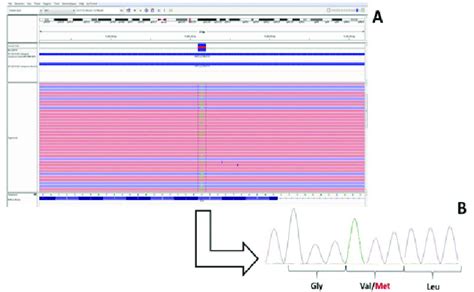 A Next Generation Sequencing Reads As From The Igv Integrative