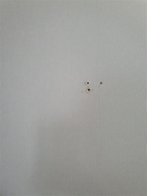 석고콘크리트벽에 피스를 지식in