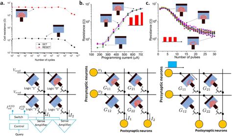 Key Physical Attributes That Enable Neuromorphic Computing A
