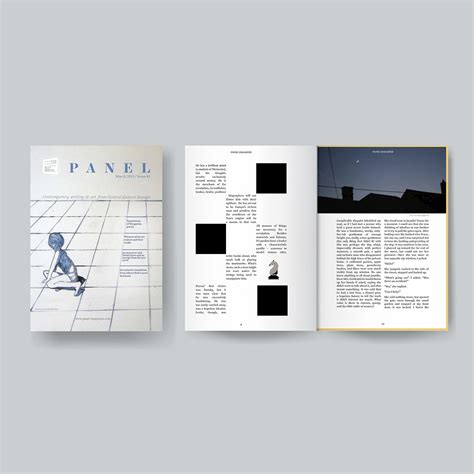 Issue 3 Panel Literature Association