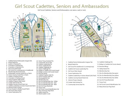 Badge Placement Cadette Senior Ambassadors Vest And Sash Girl Scouts