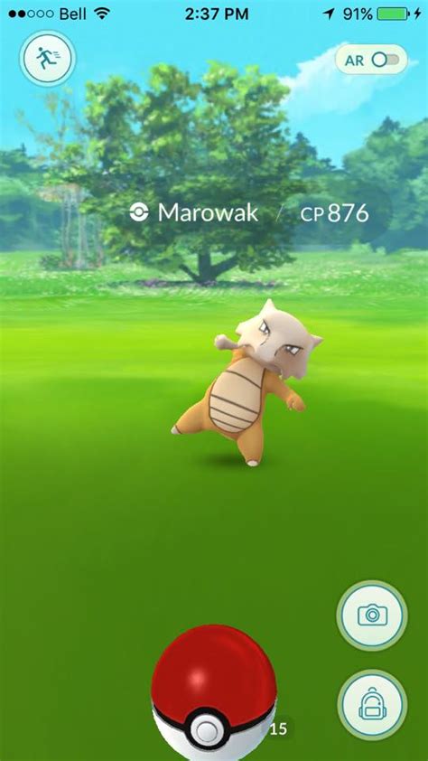 Pokemon Go Blank Template Imgflip