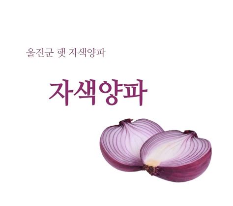 친환경의고장 울진군 햇 적양파 8kg 마늘 양파 고추 생강 사이소