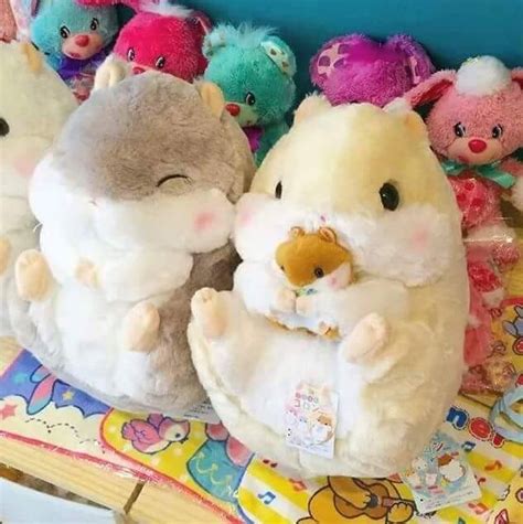 아 이거 갖고 싶어 인스티즈 Instiz 일상 카테고리