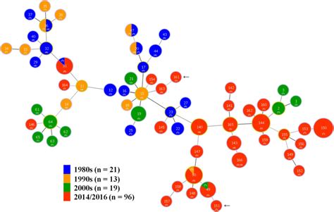 Minimum Spanning Tree Mst Showing Relationships Of The 96 B