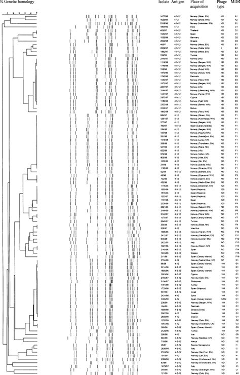 Dendrogram Based On Pfge Xbai Macrorestriction Profiles Mrps Of The Download Scientific