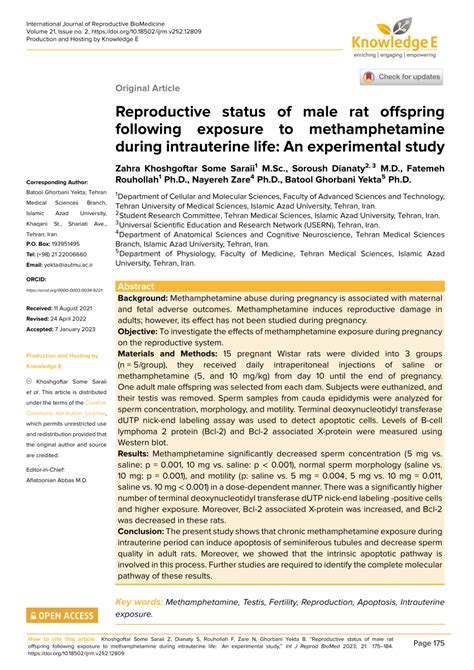 Pdf Reproductive Status Of Male Rat Offspring Following Exposure To Methamphetamine During