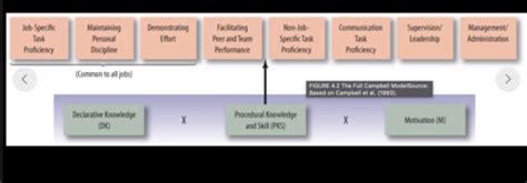 Exam 1 Chapter 4 Flashcards Quizlet