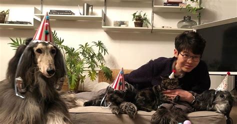 [펫톡톡] 수의사와 16년간 함께 출근한 반려견 무지개다리 건너