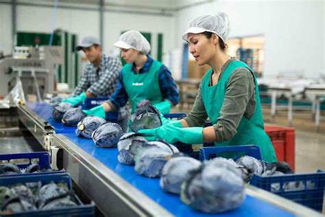 Syntax Global Ltd Is Related To Agro Industries