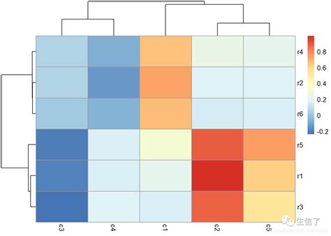 R语言ComplexHeatmap绘制复杂热图heatmap 张生荣
