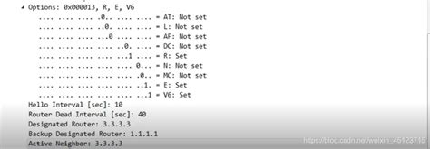 ospfv3与ospfv2的异同点 多实例实验 ospfv3和ospfv2的共同点 csdn博客
