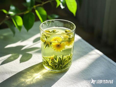 看体质来喝茶，看看你的体质喝对了吗 知乎