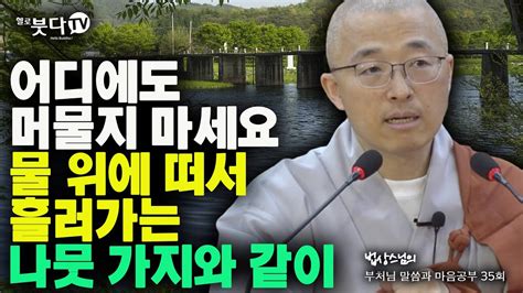 어디에도 머물지 마세요 물 위에 떠서 흘러가는 나뭇가지와 같이 ⭐️부처님 말씀과 마음공부 35회18 1⭐️ 불교 법상스님 인생 행복 깨달음 Youtube