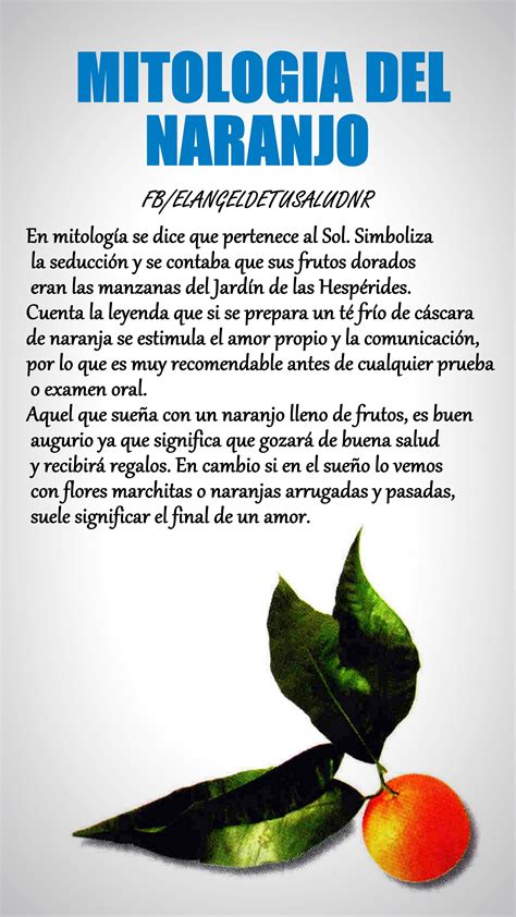 Propiedades Y Leyendas De Las Plantas Medicinales Arc