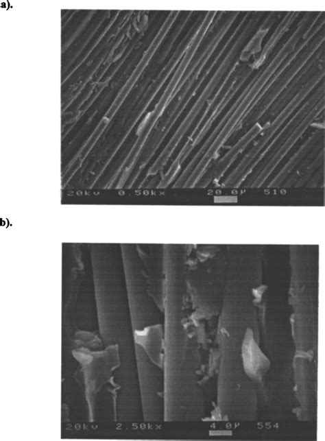 Scanning Electron Microscope Micrographs Of Tensile Fracture Surface