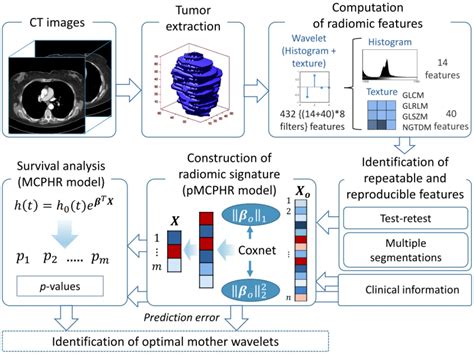 Identification Of Optimal Mother Wavelets In Survival Prediction Of Lung Cancer Patients Using