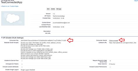 How To Do It In Salesforce 7 Easy Steps To Call Connected App From