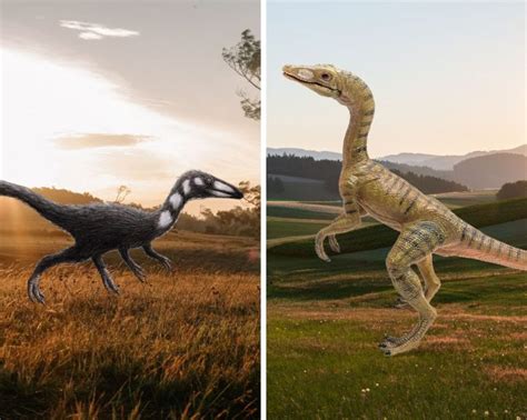 Its On Procompsognathus Vs Compsognathus