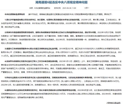 公款旅游公款送礼违规接受宴请湖南通报6起违反中央八项规定精神问题 陈成钢 费用 袁宏