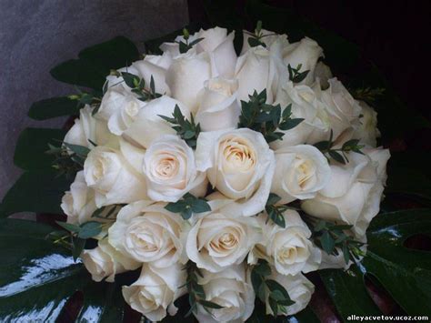 Букет Белых Роз Фото Реальные Красивые — Картинки фотографии