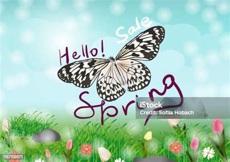 스프링 브러쉬 레터링 하늘과 녹색 잔디 배경입니다 배너 또는 포스터용 벡터 일러스트레이션 개념에 대한 스톡 벡터 아트 및 기타