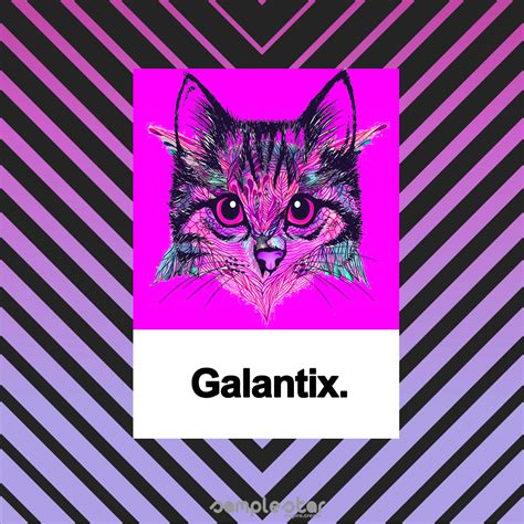 【big Room Dance Pop风格采样包】samplestar Galantix Edmtop Top