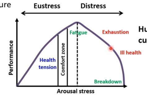 Burnout In Healthcare Flashcards Quizlet