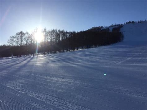In Surf Snow