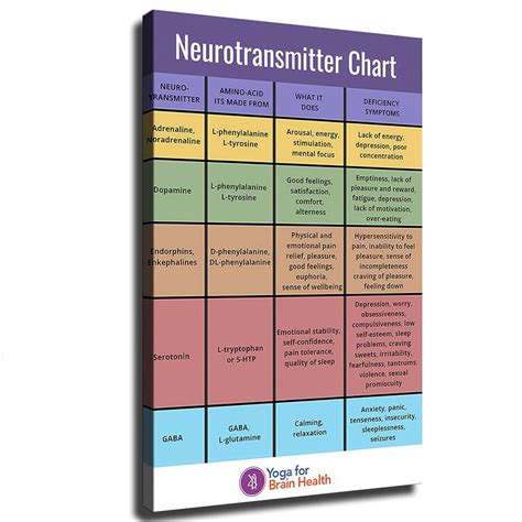 Handout Common Neurotransmitters Chart