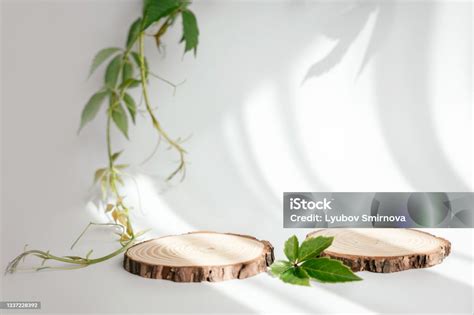 그림자와 흰색 배경에 프리젠 테이션 및 전시회를위한 자연 둥근 나무 스탠드 유기농 화장품을 위해 녹색 잎으로 3d 빈 연단을
