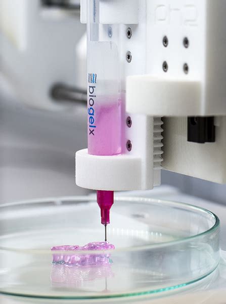 Biogelx Launching First Product Range Of Synthetic Bioinks For Variety Of 3d Printing