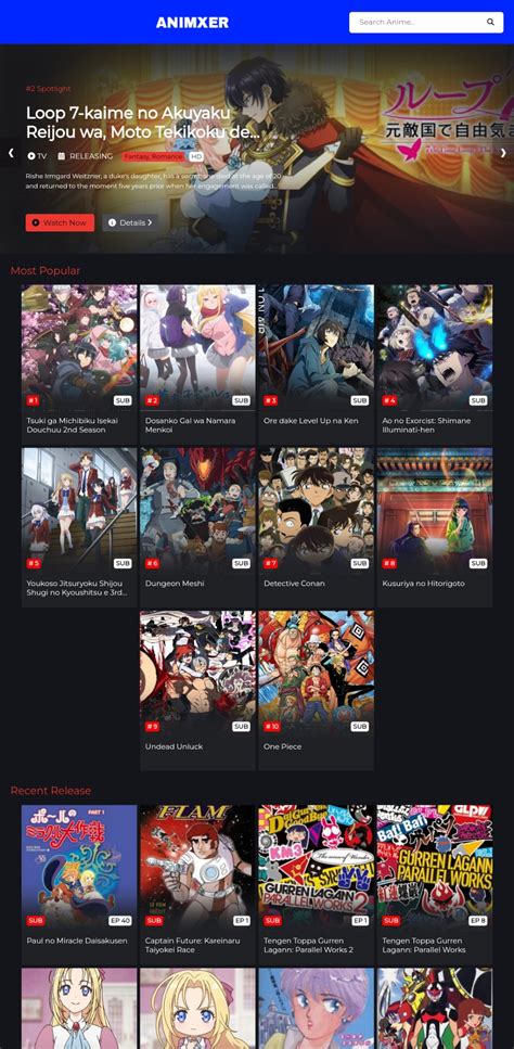 Github Anixer Animxer