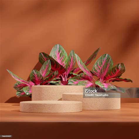 갈색 테라조 컬러 질감 연단 3d 렌더링 모형 사각형 Aglaonema 빨간색 식물 강단에 대한 스톡 사진 및 기타 이미지 강단 0명 3차원 형태 Istock