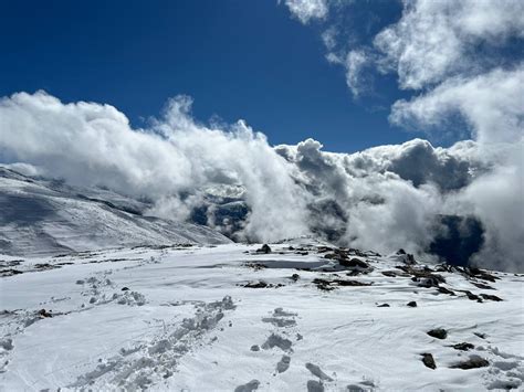 همشهری آنلاین نمایی رویایی از قله دماوند زیبا از میان جنگل الیمستان