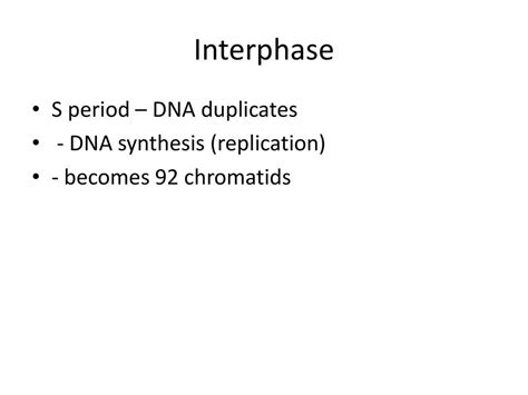 Cell Cycle Ppt Download