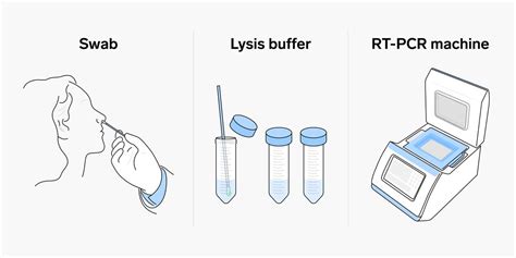 Pcr Swab