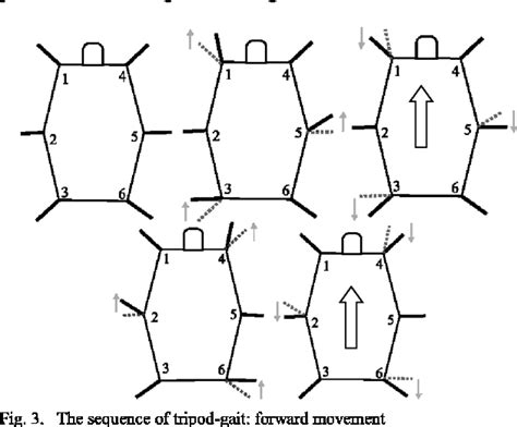 Figure 6 From Hexapod Leg Coordination Using Simple Geometrical Tripod