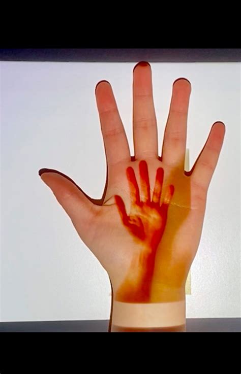 Wendy Yu And Jane Elizabeth Bennett Explore Intimacy In Isolation