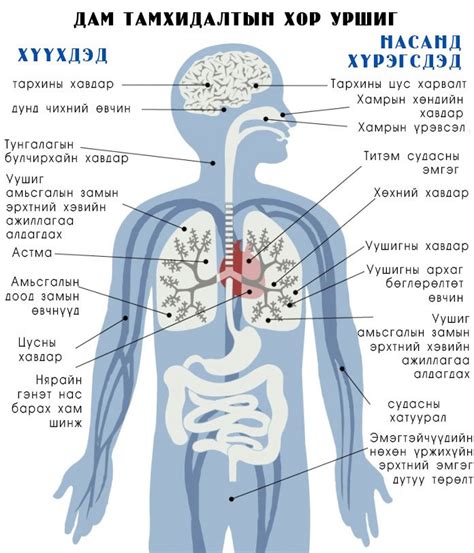 Maamuu · Дам тамхидалт нярайд маш аюултай