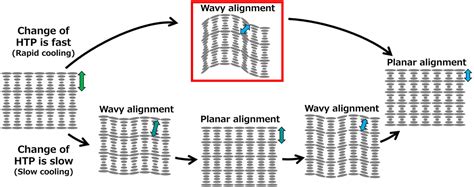 Novel Cholesteric Liquid Crystal Films Creating Angle Insensitive