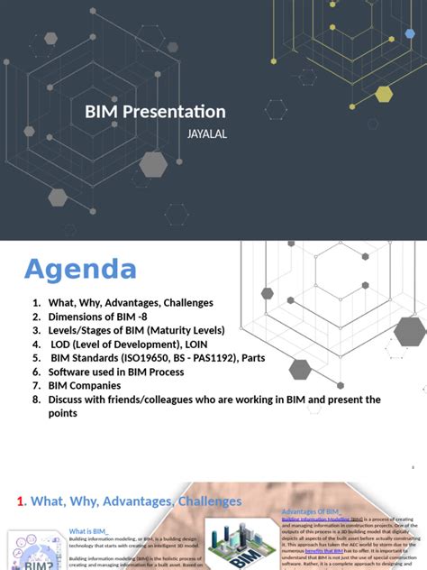 Bim Assignment Pdf