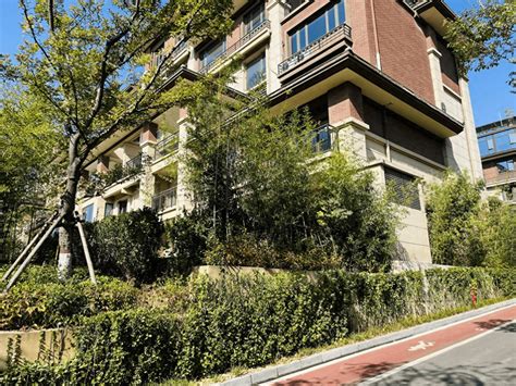 保交楼稳民生碧桂园河南区域再迎品质交付 业主 项目 郑州